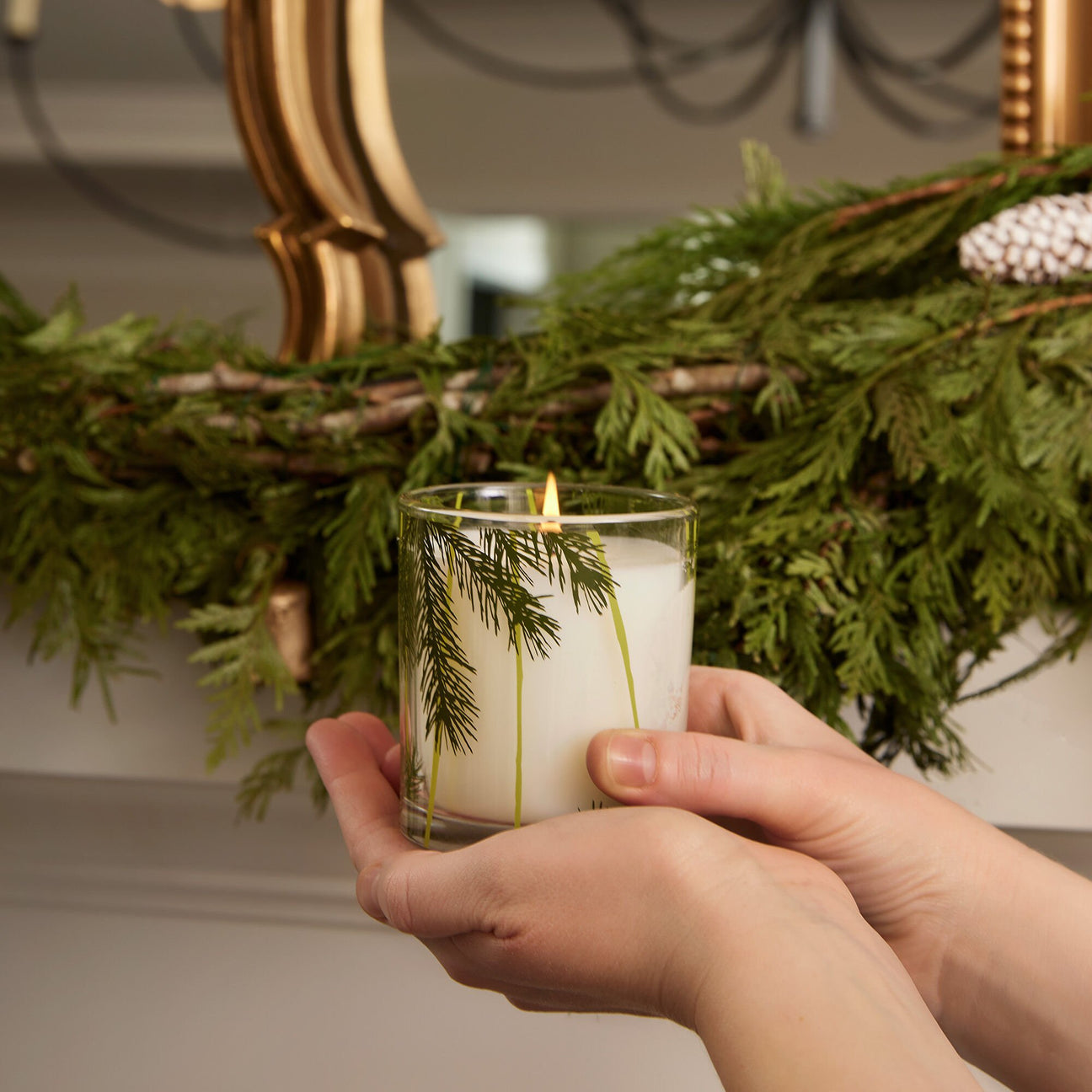 Frasier Fir Pine Needle Candle | Thymes