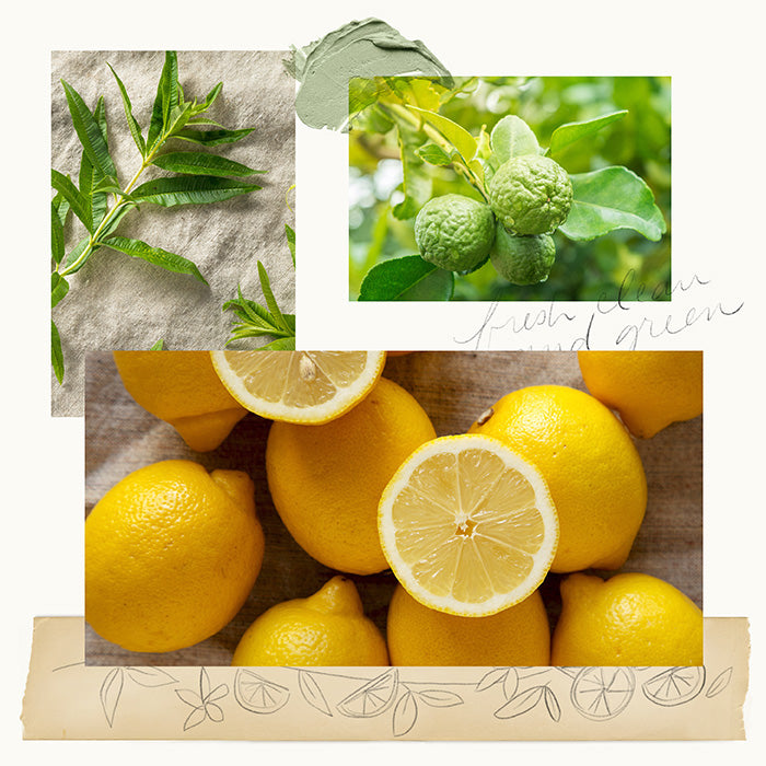 Lemon Leaf Home Fragrance Mist | Thymes